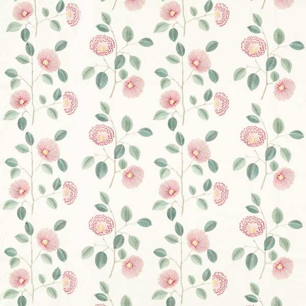 Monique Blush/Raspberry – M2M by Sanderson Design Group